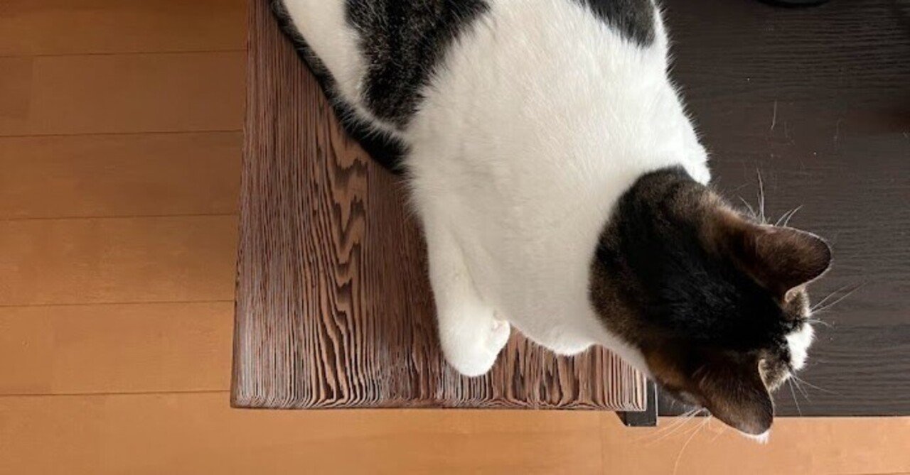 心理タイプ別お片づけ 猫の下僕バージョン｜chie_cat_life｜猫と暮らすと家は片付くnote