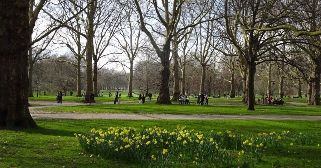 Satoko Matsuura｜note