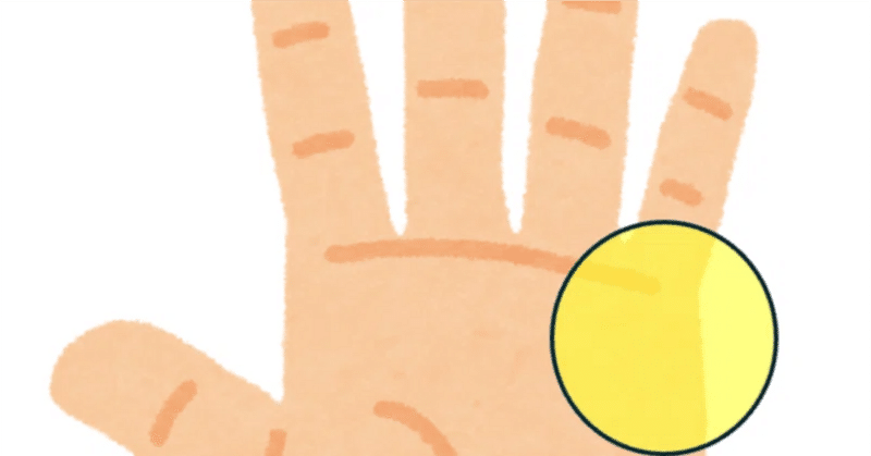 Noriko Maruyama｜note