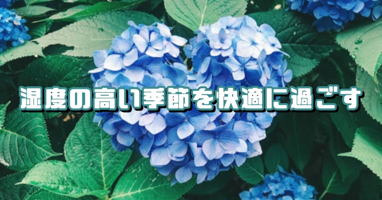 EmuLog＠在宅ワーク&ガジェット好き&物欲解放の備忘録｜note