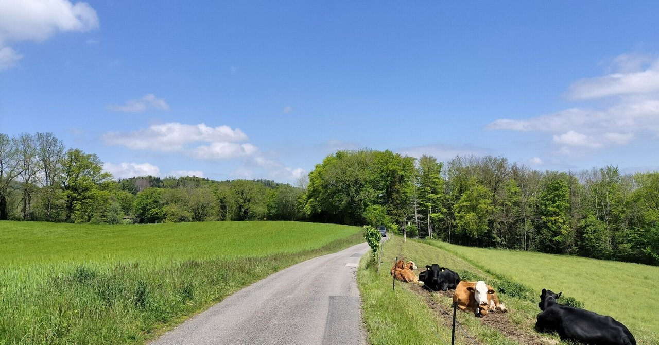 Sanada Keijiro｜note