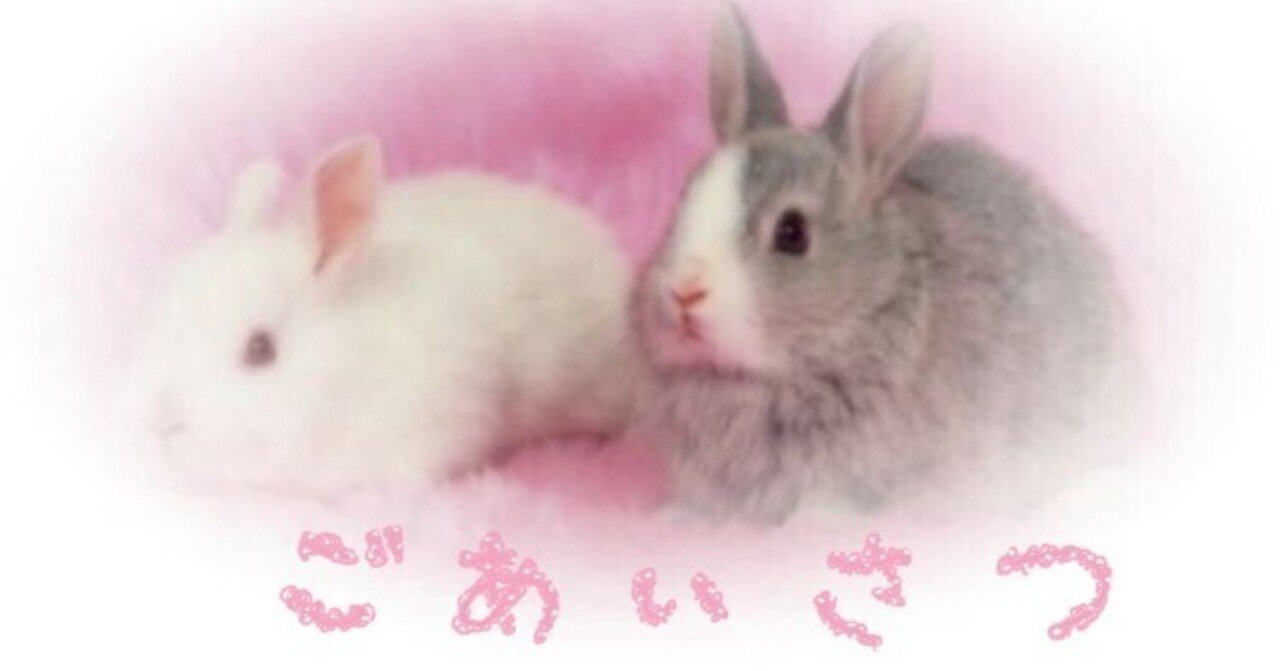 ごあいさつ｜♡ nanami ozaki