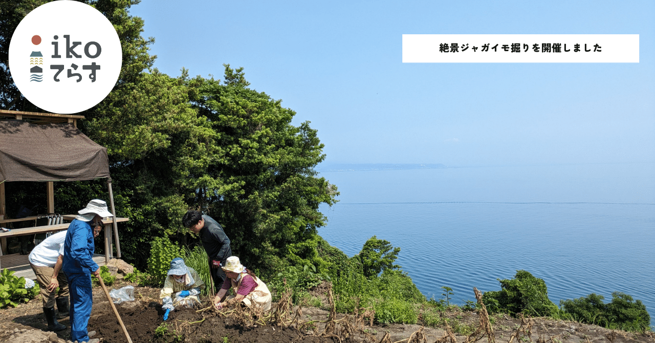 [第19回]絶景じゃがいも掘り・コーヒーを飲む会を開催しました🥔｜桜島のゲストハウスikoてらす 体験｜移住｜交流スペース