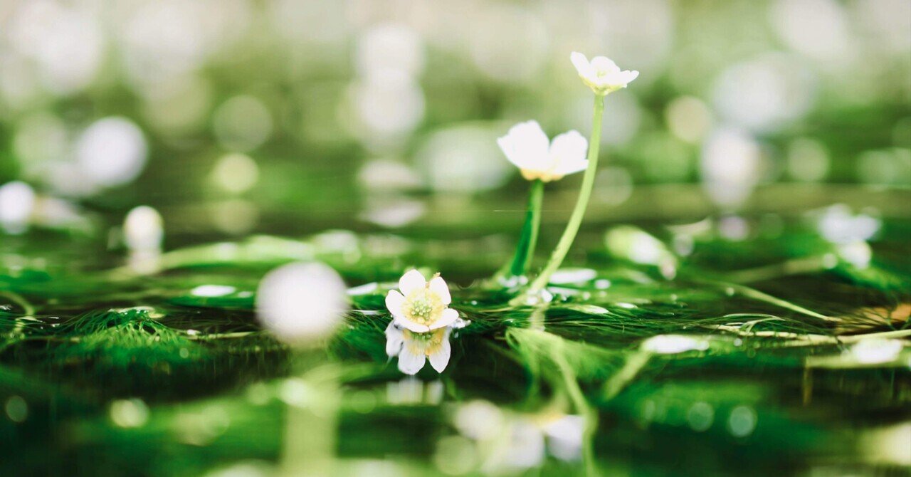 あなたの魅力｜nami