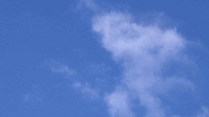 Sinri～真理901～ 推し活を推奨 感覚派 心理カウンセラー &スピリチュアル メンタルヒーラー｜note