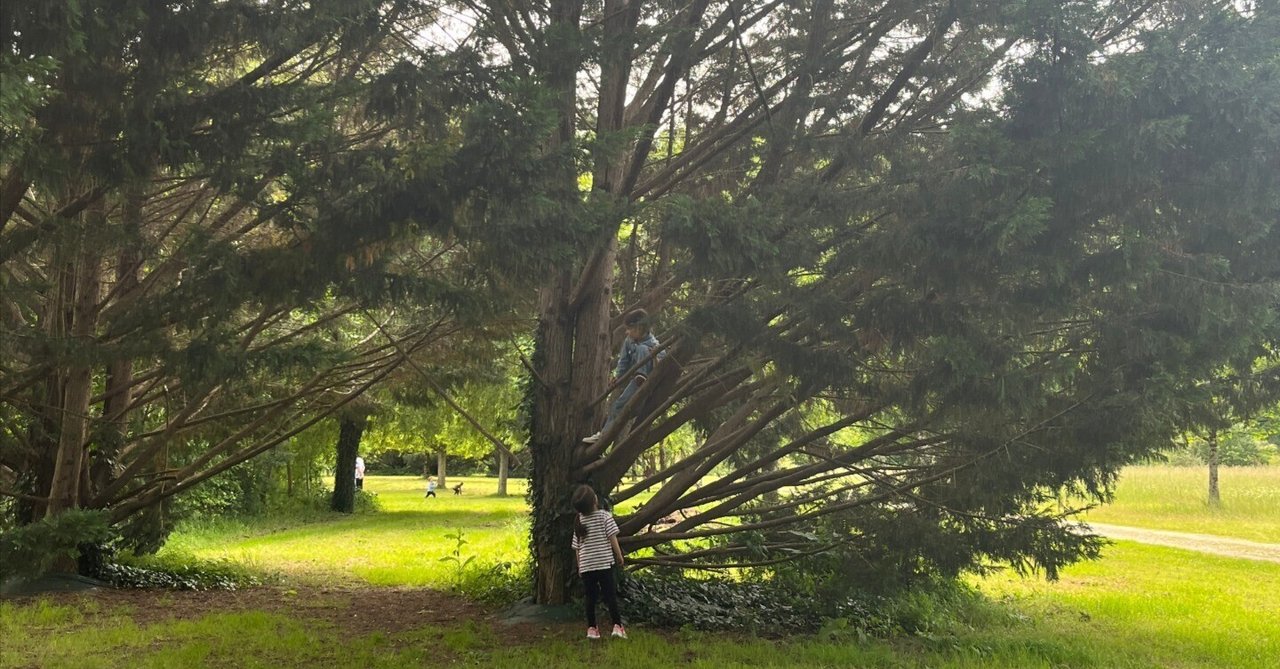 ウクライナの友達に聞いた戦禍から逃げた話｜Mayuko TT