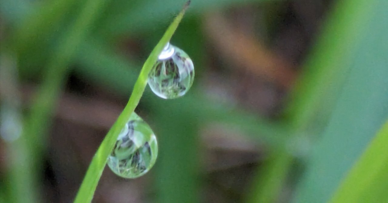 泣いたり笑ったりのショート動画｜ichiro70