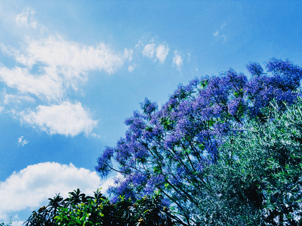 Hiroshi Kikuchi｜note