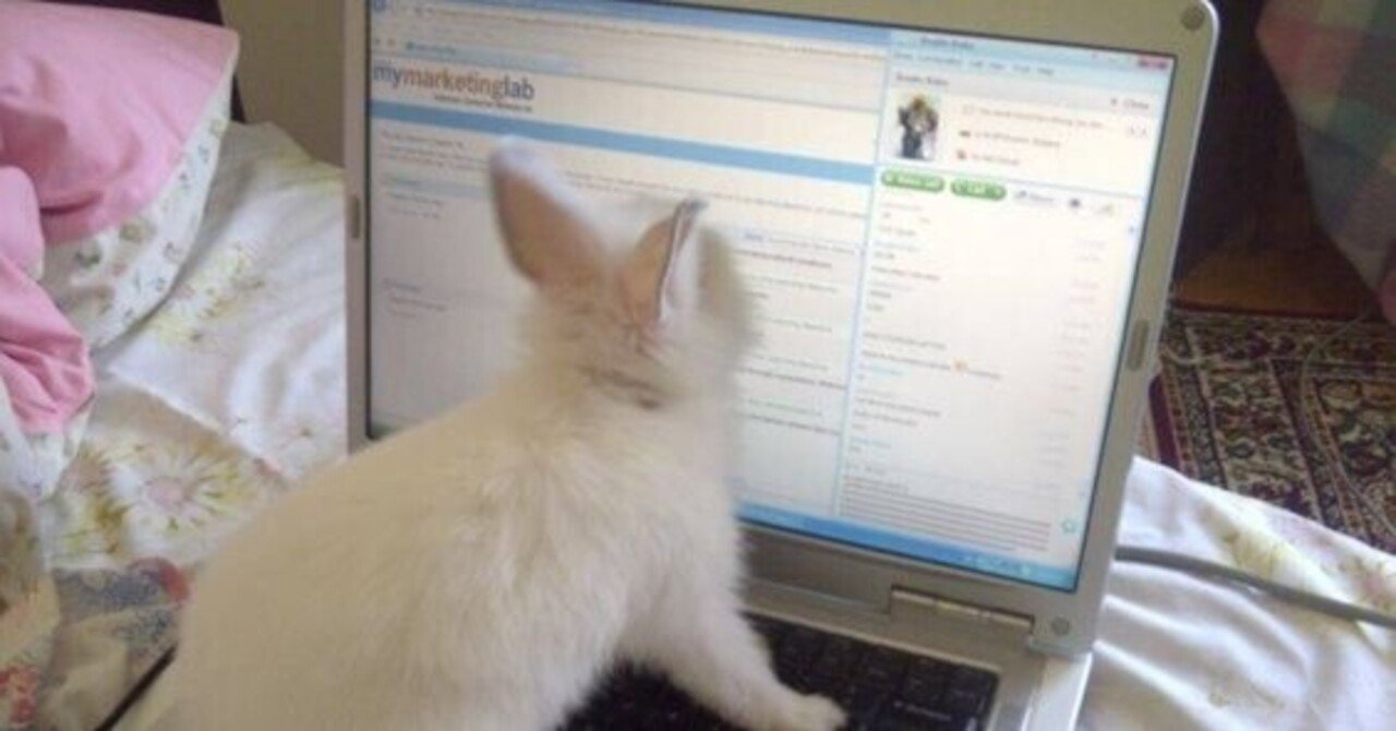 留学のきっかけ｜♡ nanami ozaki