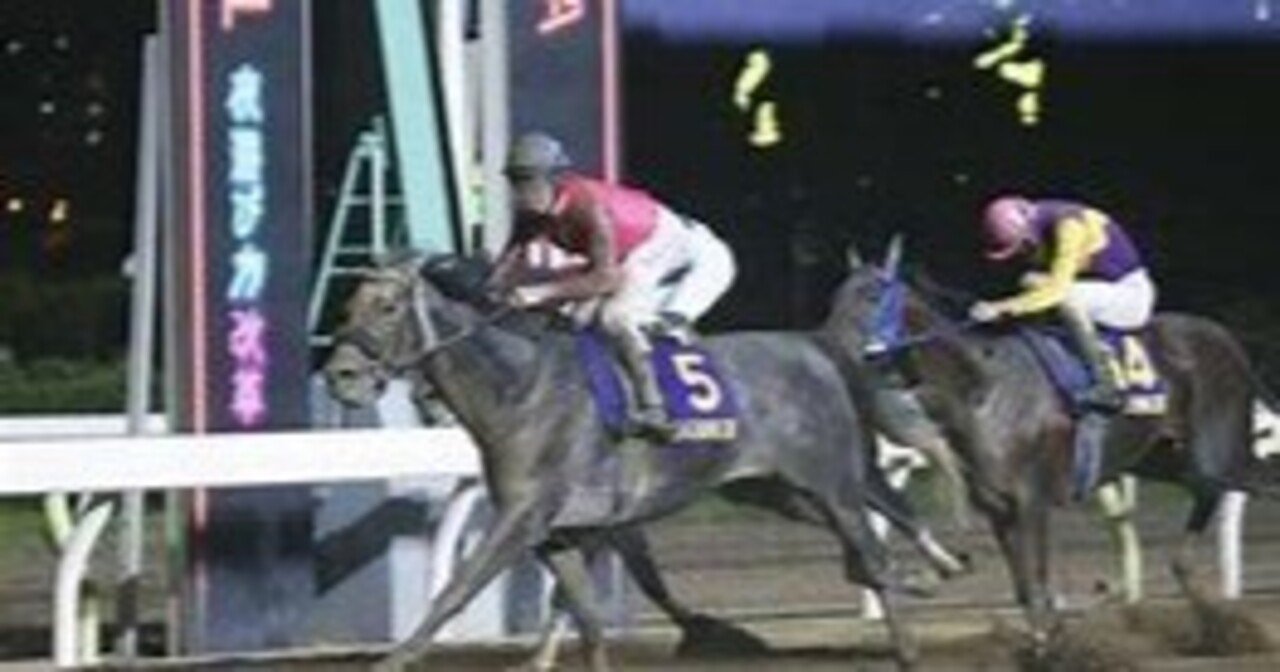 大井競馬【🔥👊🏇激熱勝負🏇👊🔥】64（火）【11r】ゆりかもめオープン競走（発走時刻2010）｜さやだま