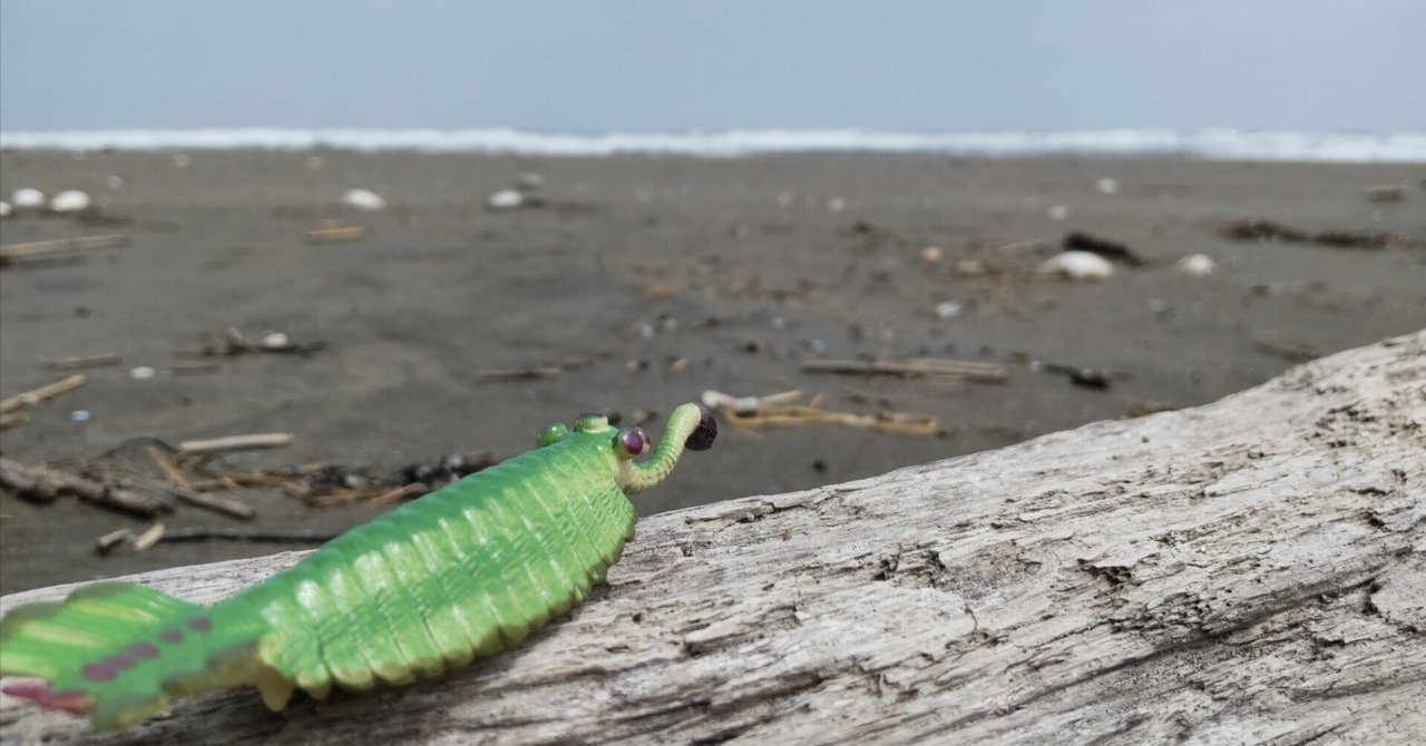 夢 アーカイブ｜Haruru.