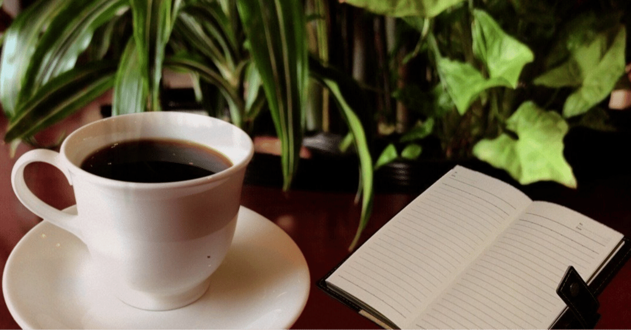 Lose Yourself in Delightfully Cozy Mystery Books｜BookCLB