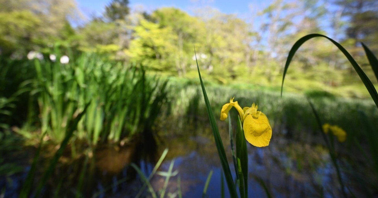 「その人の良いところをいかに見つけられるか」というゲームにしてしまえば｜Kenichi Aichi