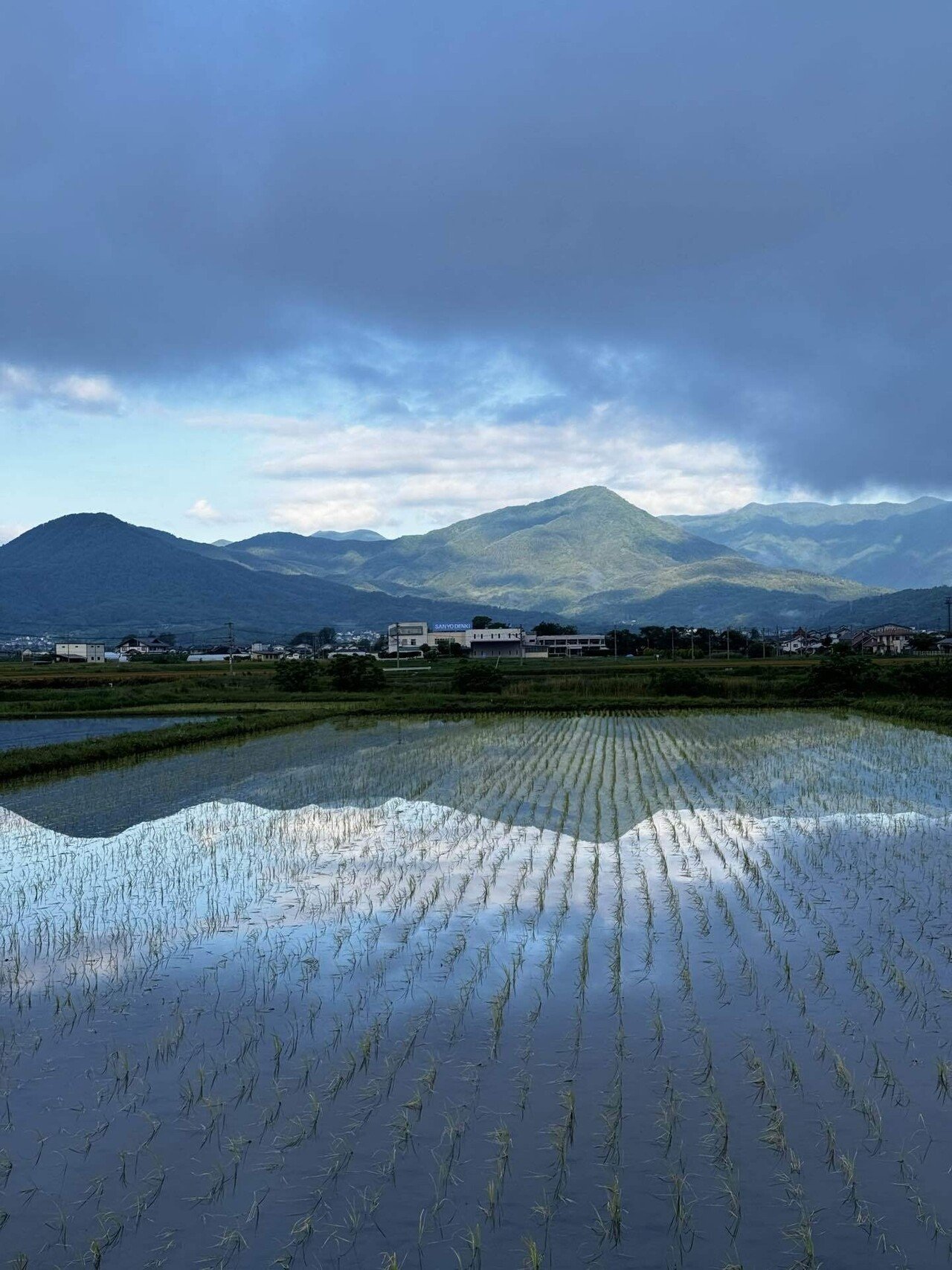 Takeuchi Akira (ジプシーおやじ)｜note