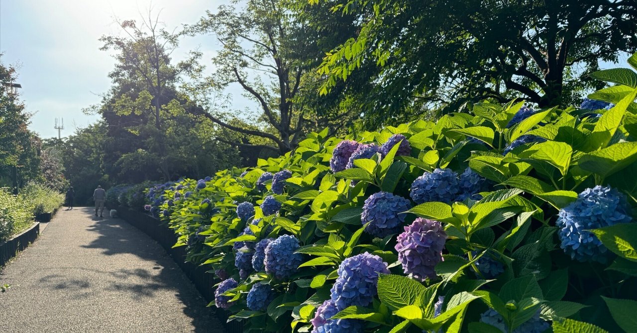 けこぜろ / ke-ko0｜note