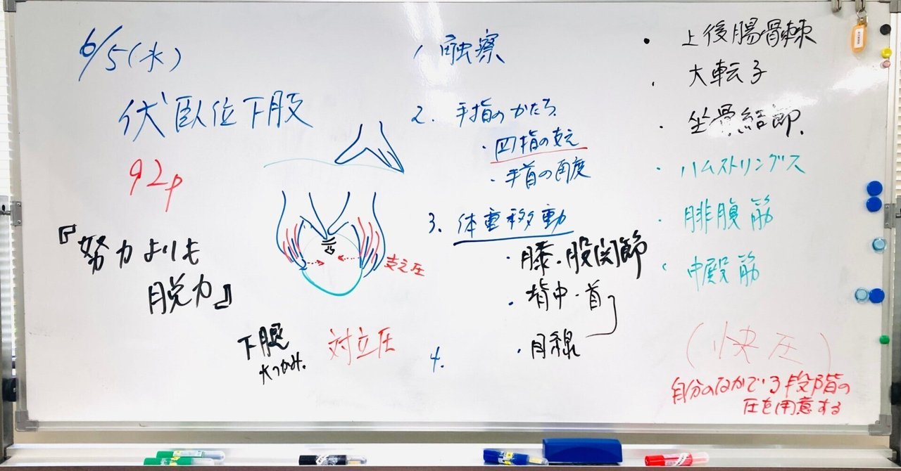 #講義録・指圧基礎実技 2024.6.5 〜背中を押すときと足を押すときの違いを工夫する〜｜かんだひろし (Hiroshi Kanda)