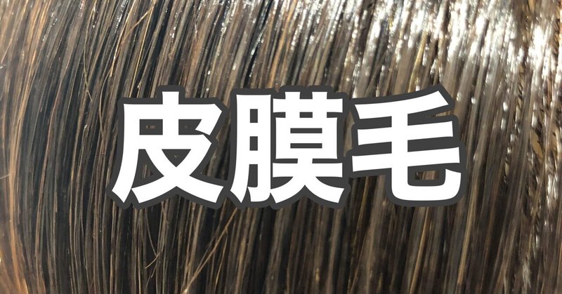 皮膜毛｜Ninomiya Hiroaki