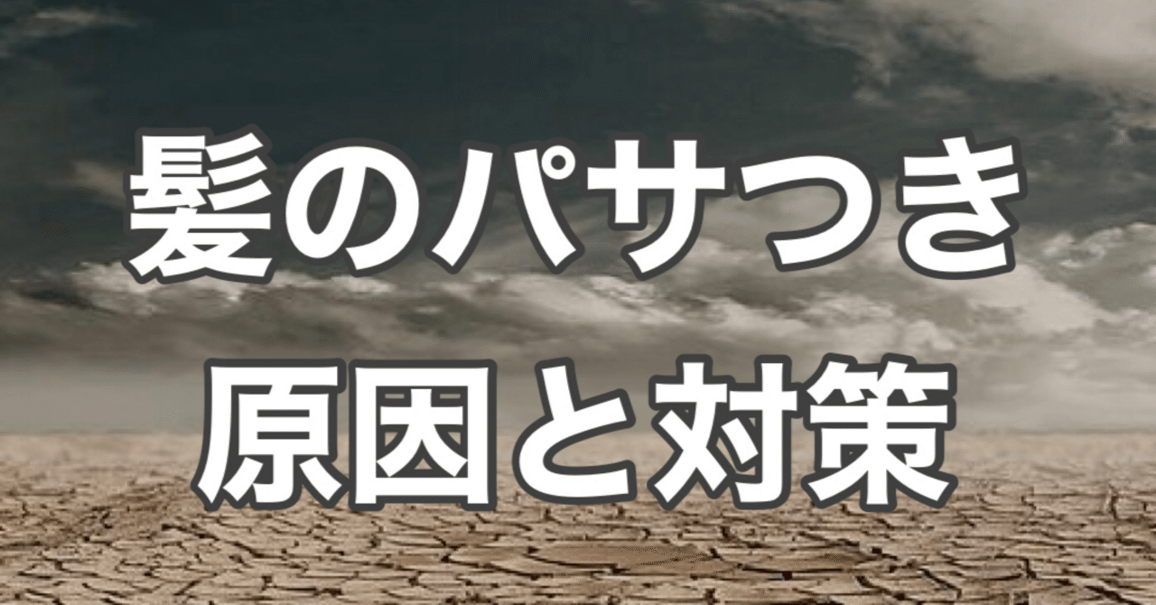 髪のパサつき 原因と対策｜Ninomiya Hiroaki