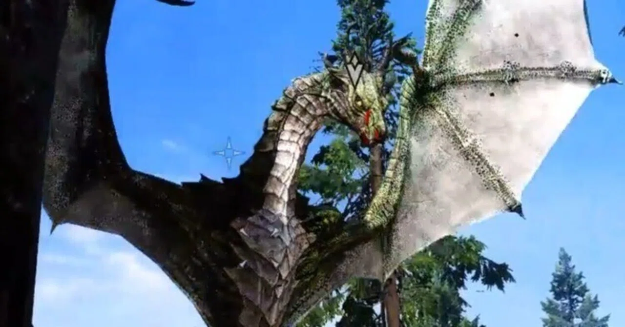Installing the Leone Dragon Project｜Ena