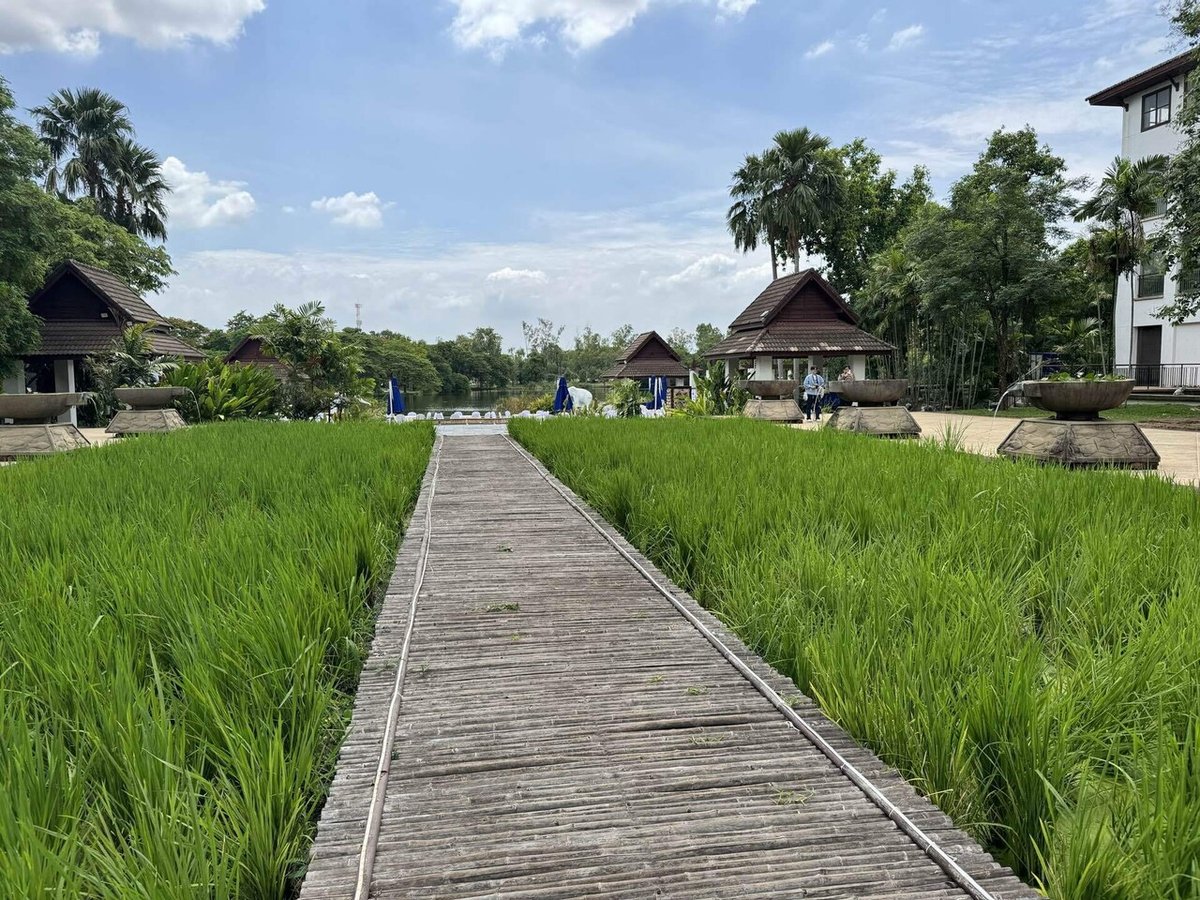 【タイ旅行】プラチンブリ最大のリゾートホテル「Tawa Ravadee Resort」に宿泊してきた！｜さきんちょ@タイ・バンコク駐在妻🇹🇭