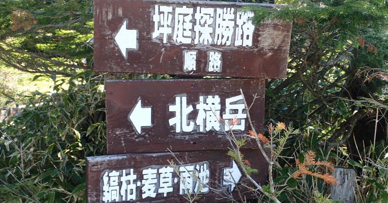 私が命を大切にする理由｜SW大橋勇