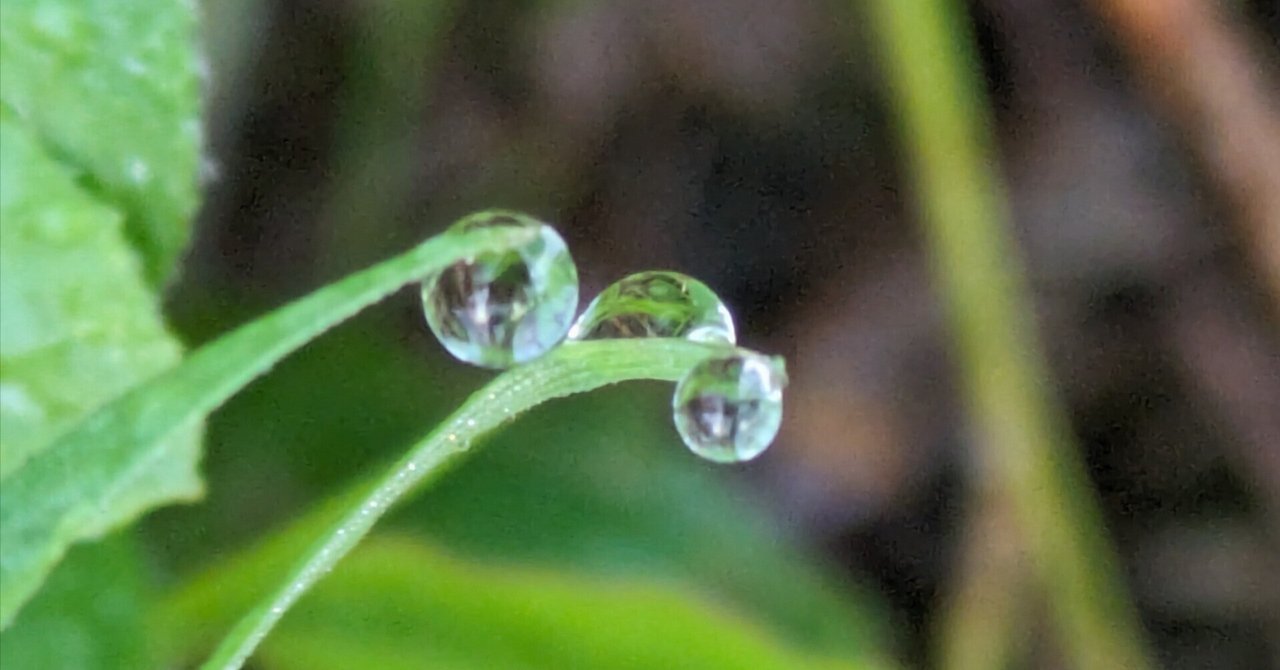 泣いたり笑ったりのショート動画｜ichiro70