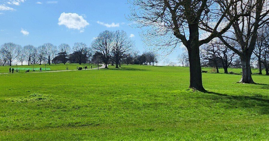 Ako Kazama（風間あこ）COCORO COLLEGE専属プラクティショナー｜note