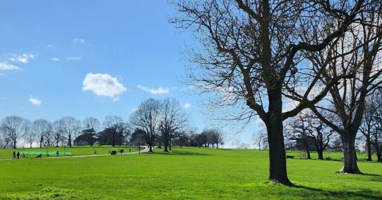 Ako Kazama（風間あこ）COCORO COLLEGE専属プラクティショナー｜note