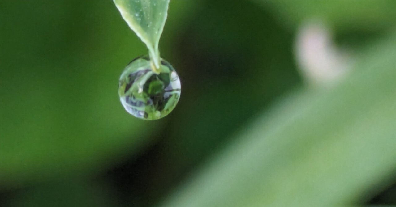 泣いたり笑ったりのショート動画｜ichiro70