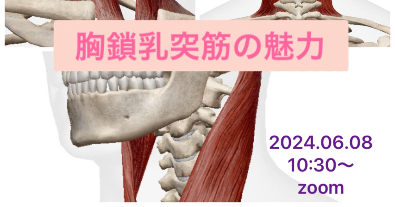 胸鎖乳突筋の魅力｜Mariko Nakano