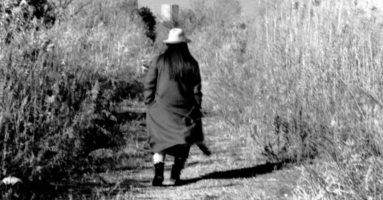 最近の活動｜Junko Sakamoto