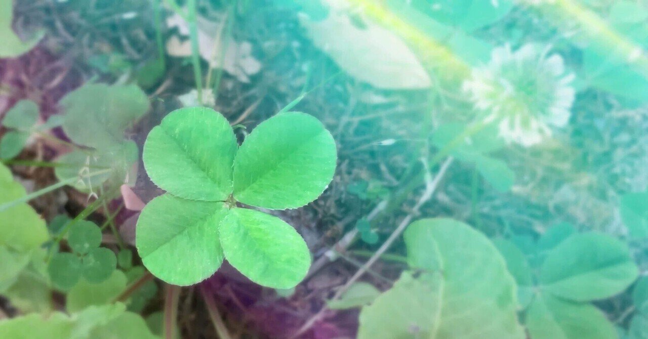 四つ葉の意味｜Yu+（ユープラス）／心が変われば人生も変わる