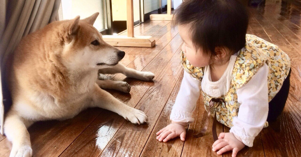 子どもの声を聴く｜Chika Ishimizu