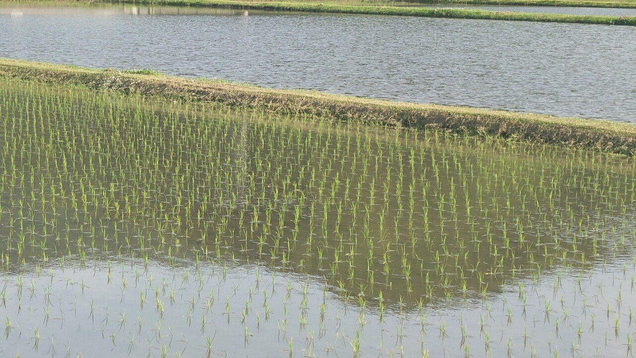 MITSUDA Tetsuo｜note