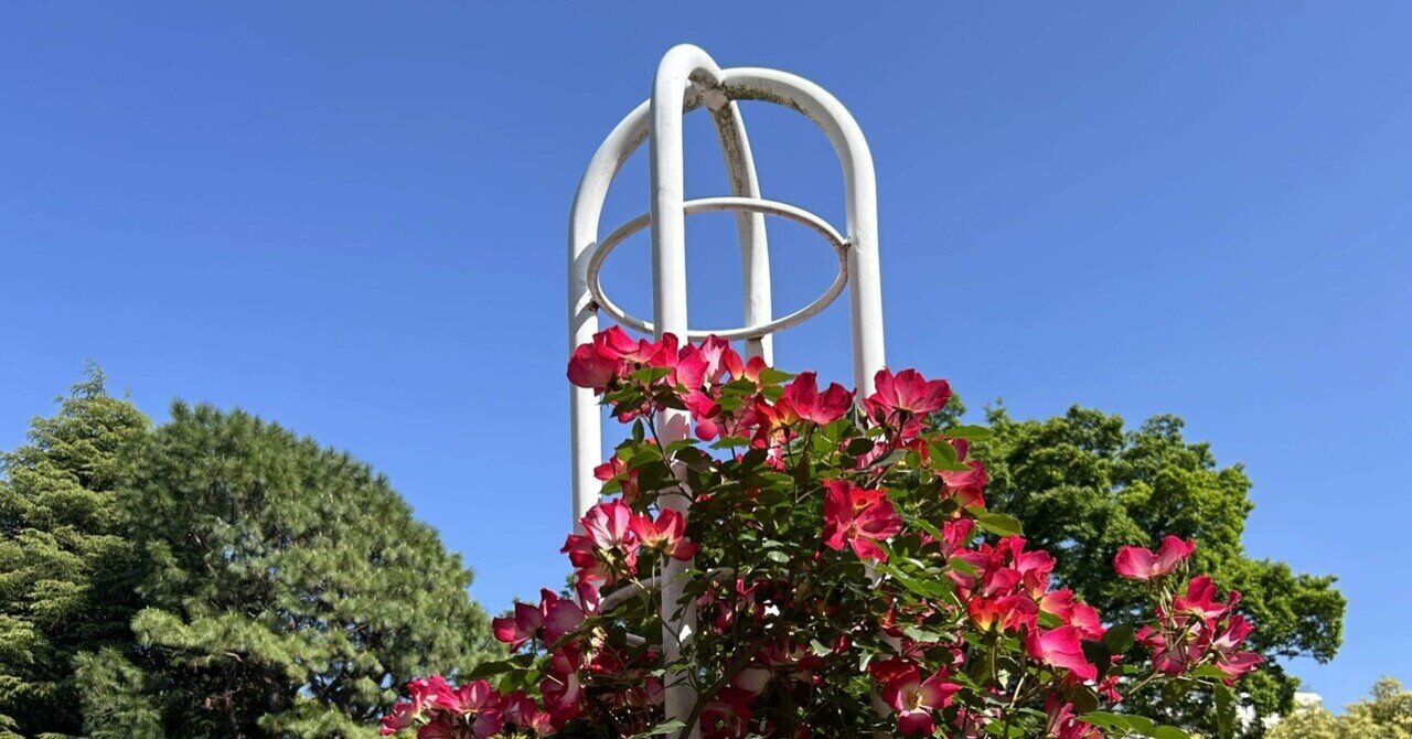 メッセージ🌺🐉 ｜Hakuto Emiko