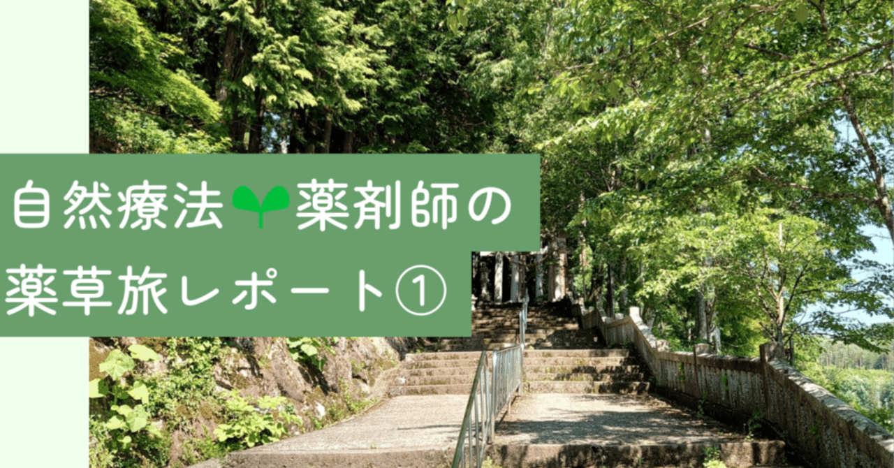 ひだ薬草旅レポート①｜自然療法🌱薬剤師/ハーブボール調合師のnote｜彩irodori AYA