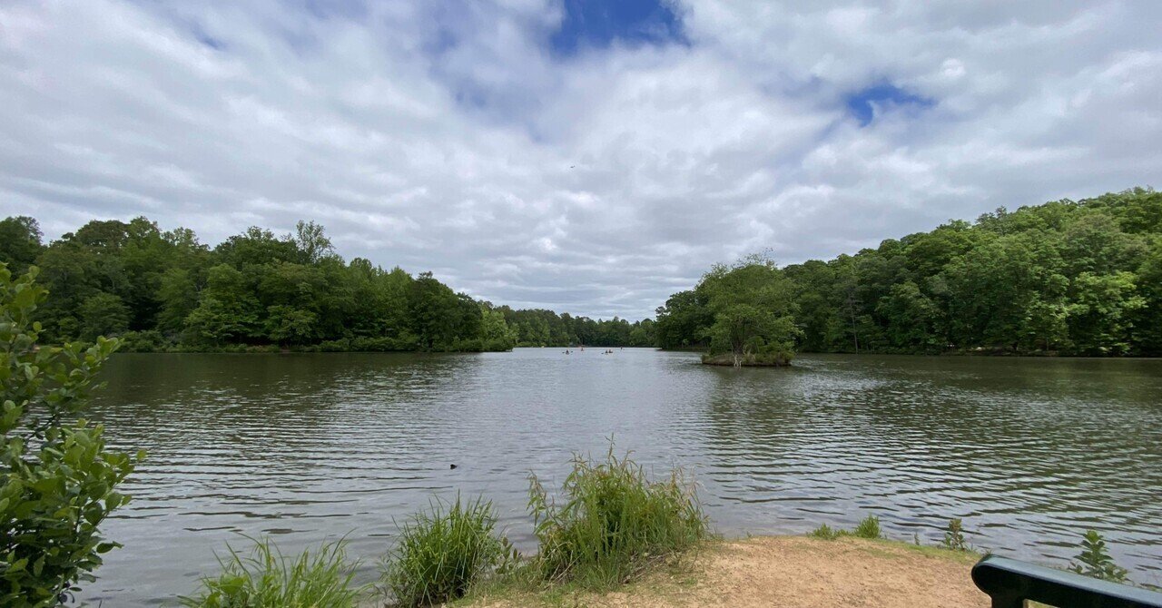 カルチャーショックな日々とcommon senseの存在｜Moco