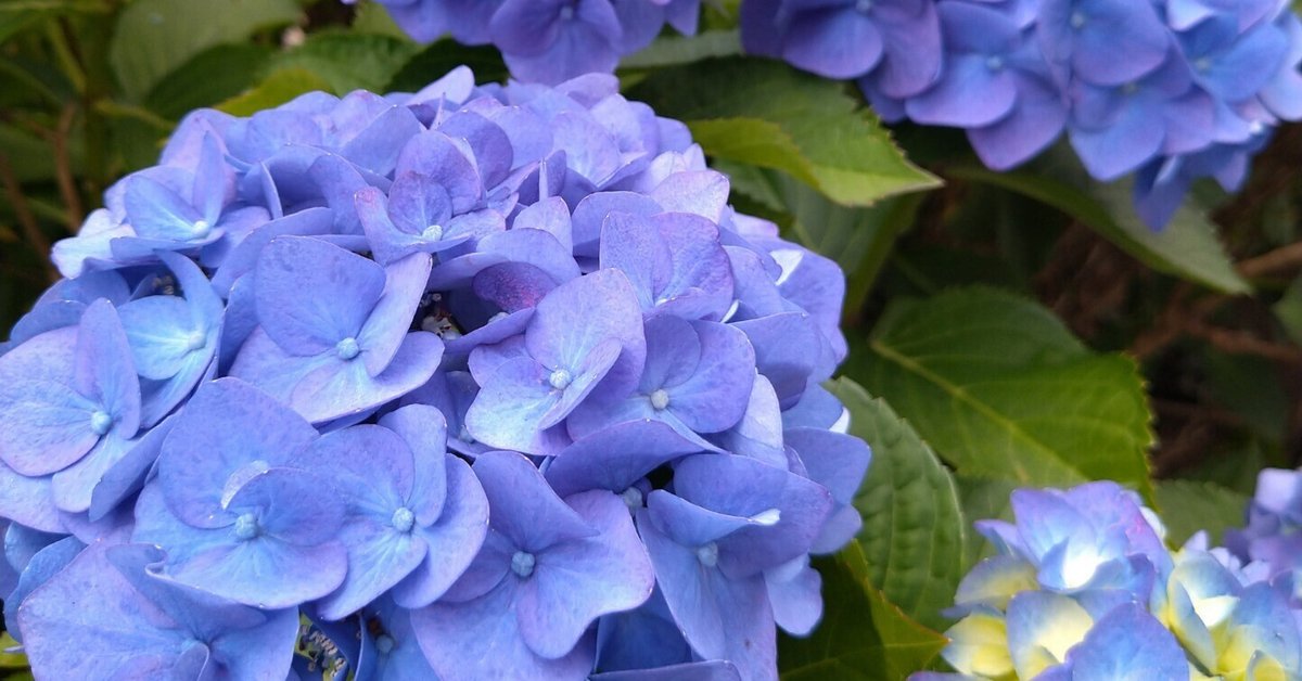 自己紹介 | はじめてのnote｜Arai Nami