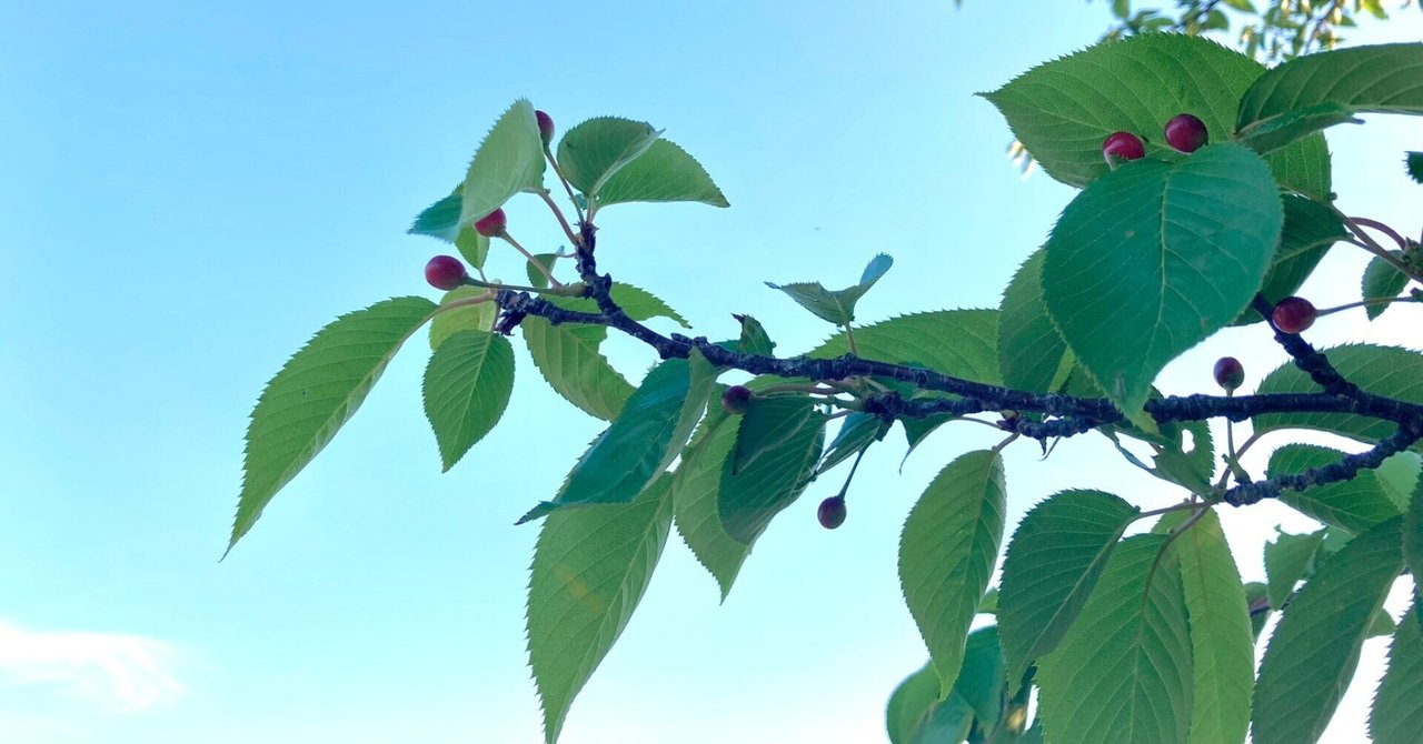 振り返り（6月第1週）｜azu