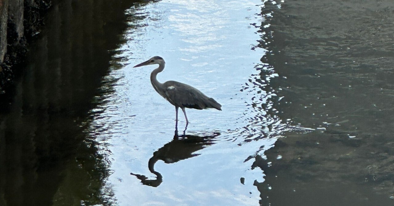 埋め立てられた川と橋があった場所（油堀川その3）｜saki.ss