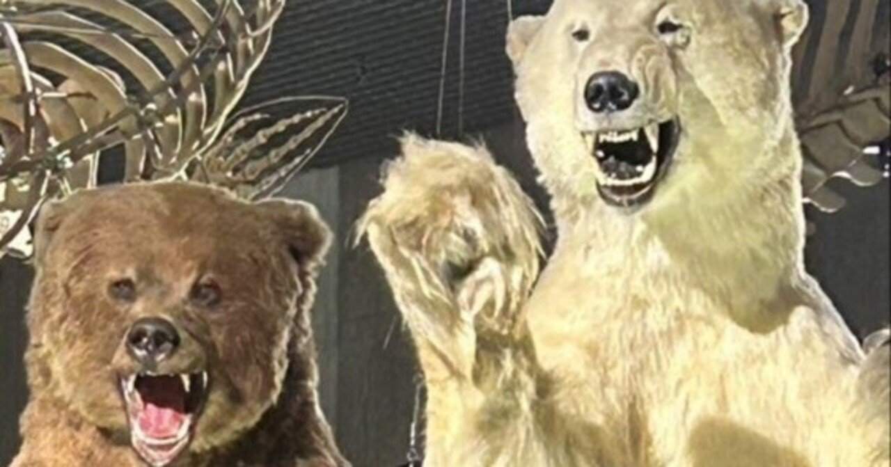 EXPOSE ‘Burn out!!!’｜bear-crow