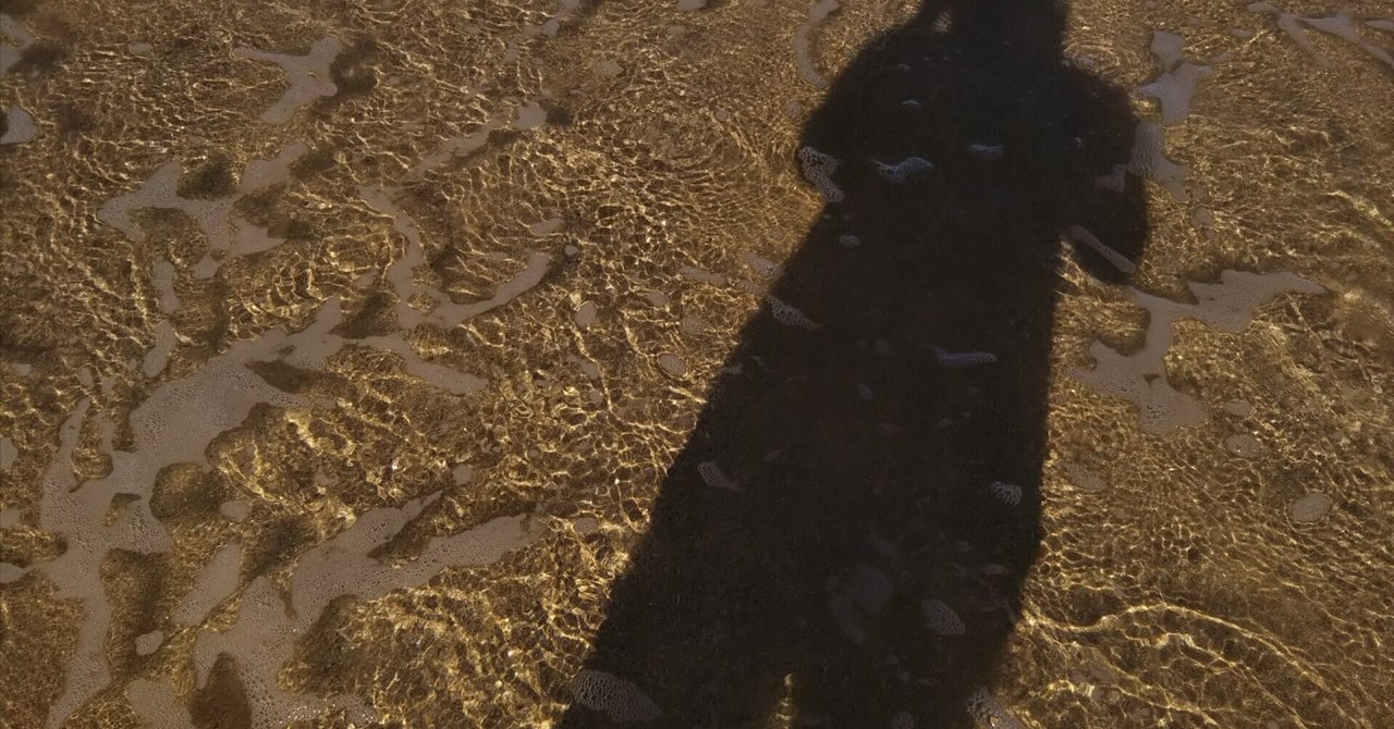 私の読書遍歴｜Arai Nami