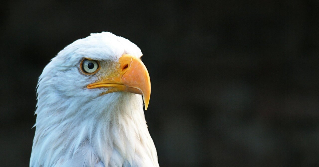 【6030社】ブラック企業ランキング2026｜Tossy（とっしー）