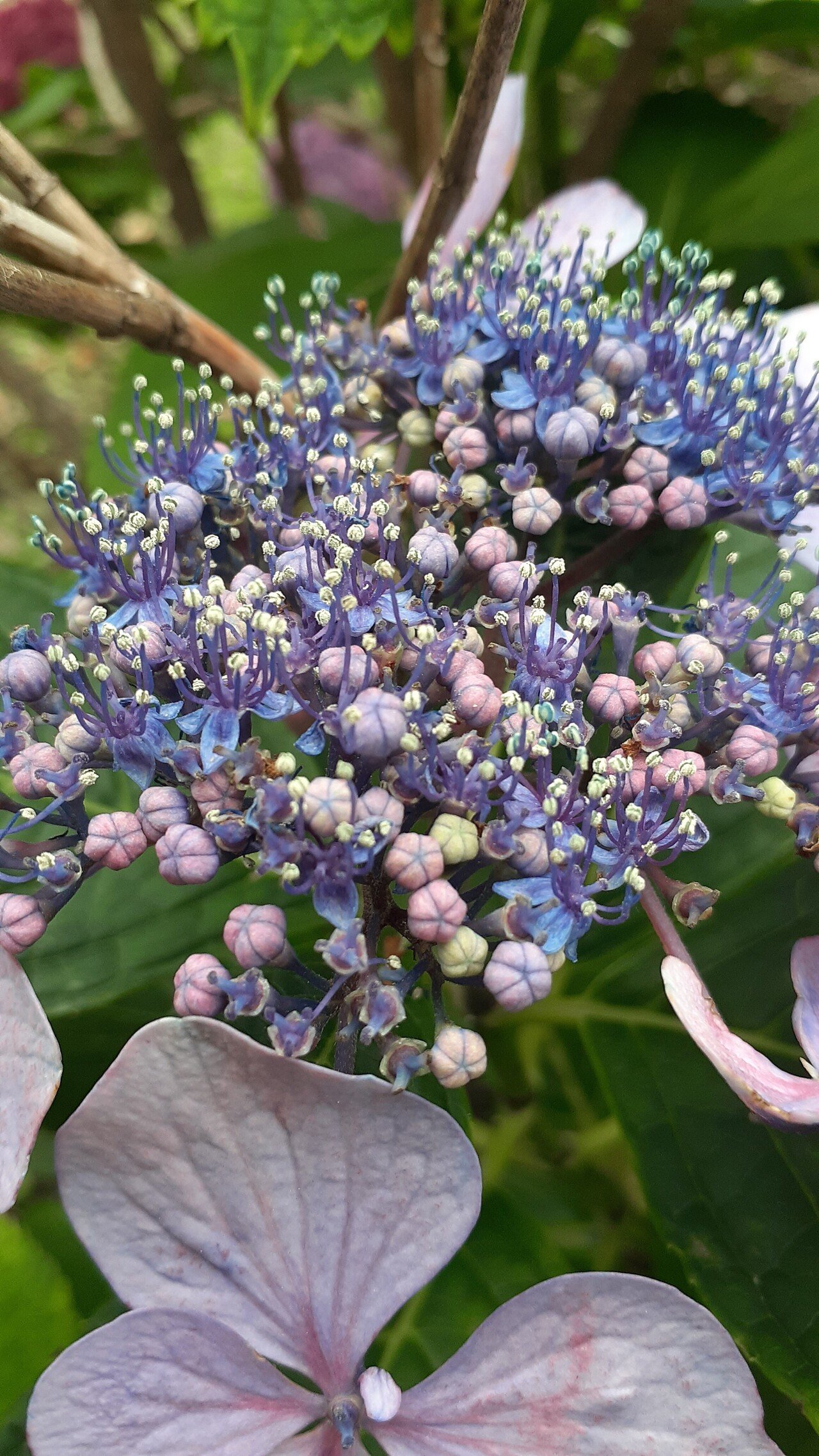 この世界ってパターンの繰り返しなんじゃ？ ソース（源）って、、ネットページのソースの表示と似たものなんじゃ？？ ラジオでゆるりとお話ししてます～☺️🌸 https://stand.fm ...