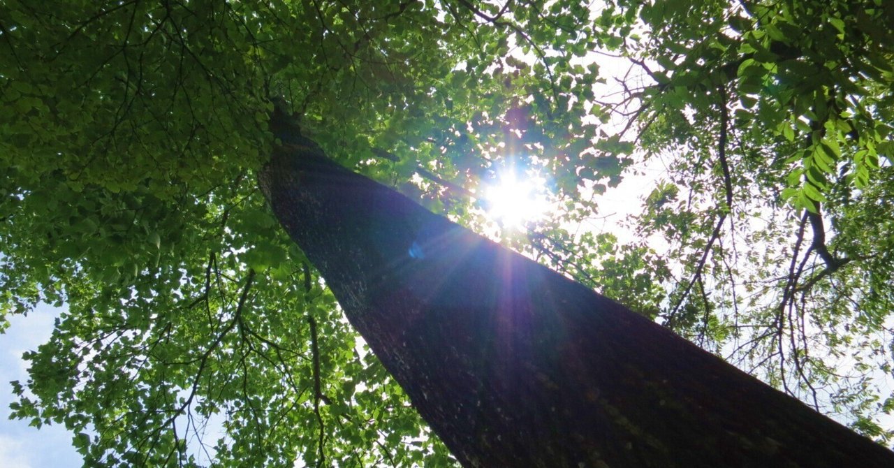 詩ことばの森(178)「蔵の中」｜UNWIND&KOMOREBI