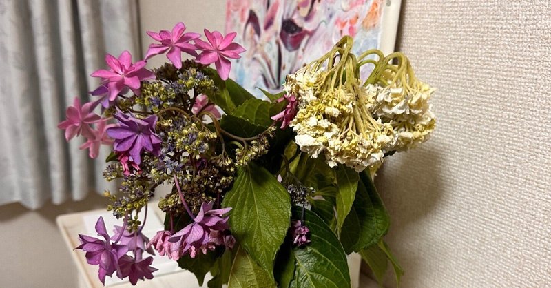 藤理沙子/Risako Fuji｜note