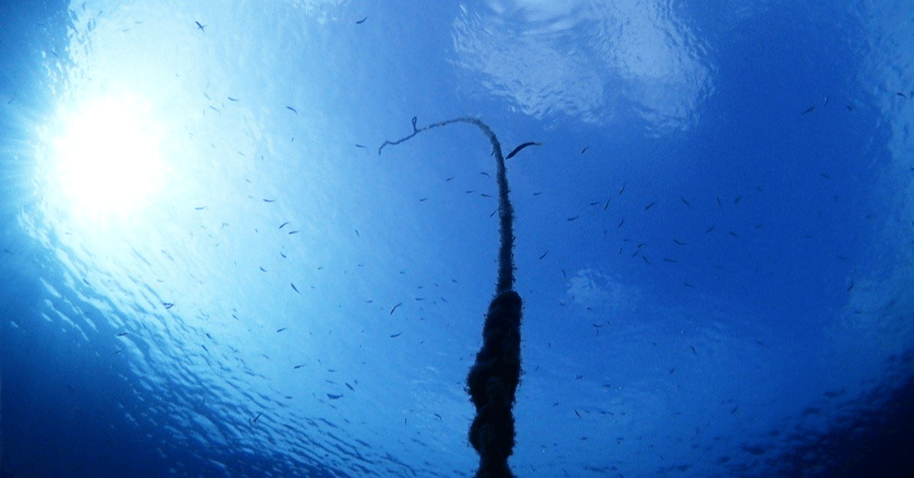 Makoto Shirasu｜note