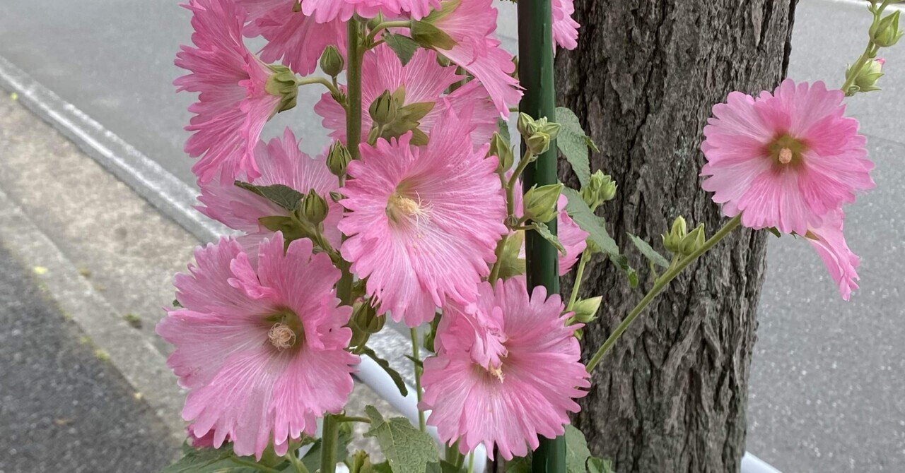 之哲／Yuki Satoru｜note