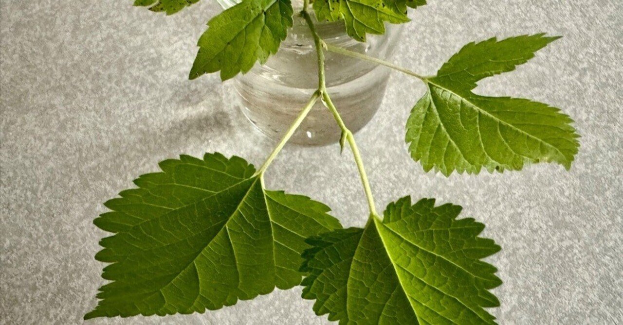 happea-nyanko｜note