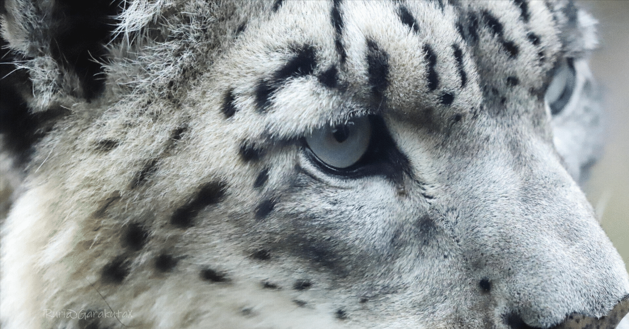 Hirohisa_Sojo｜note